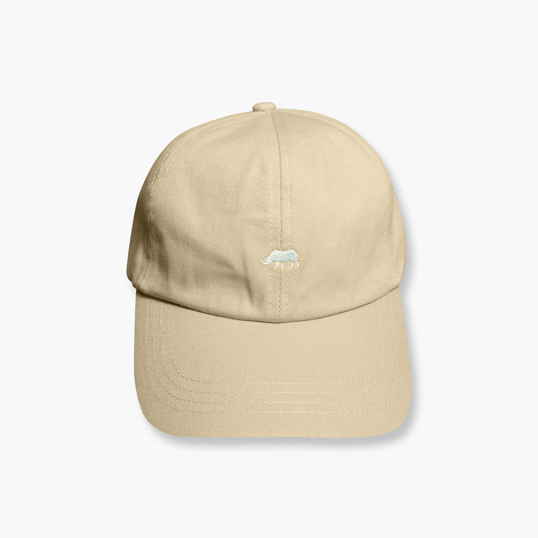Caps – CONQUER Society